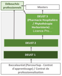 DEUST Préparateur-Technicien en Pharmacie - Faculté de Pharmacie